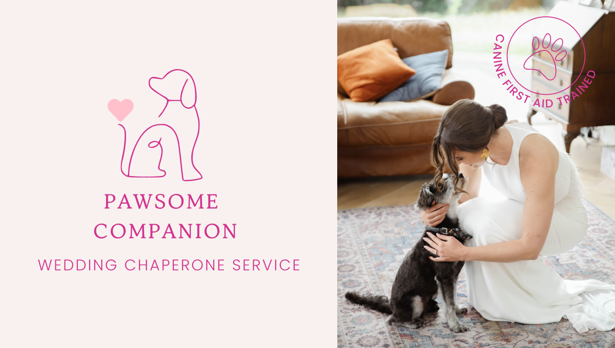 Pawsome Companion | Wedding Chaperone Service